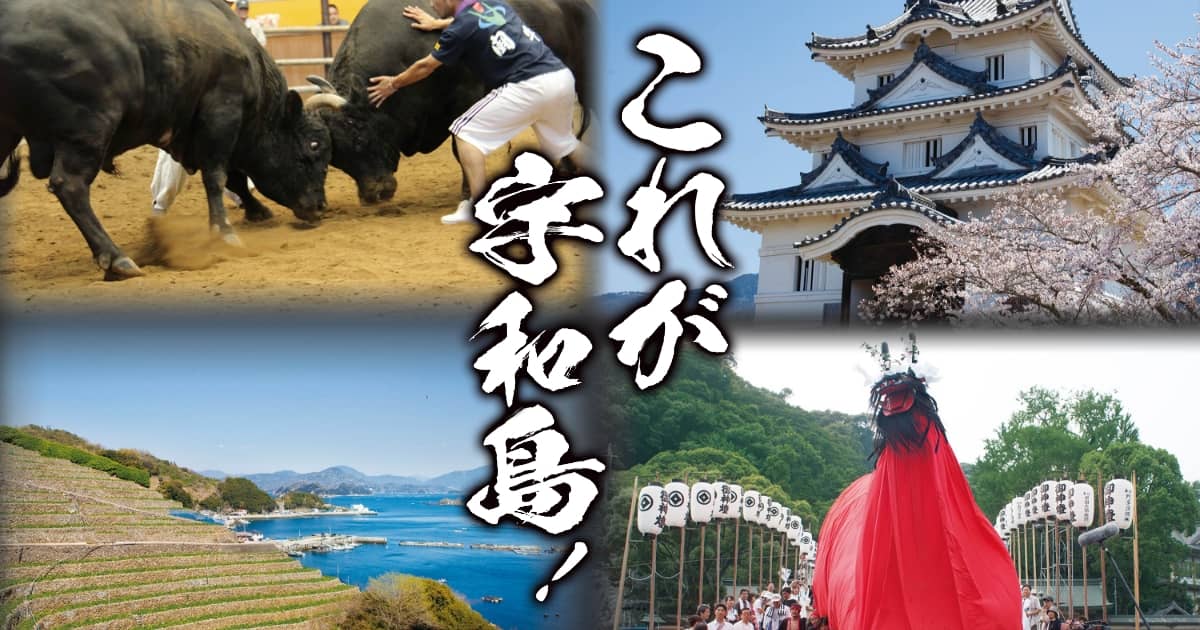 メディア掲載 - 宇和島グルメ寿司すしえもん